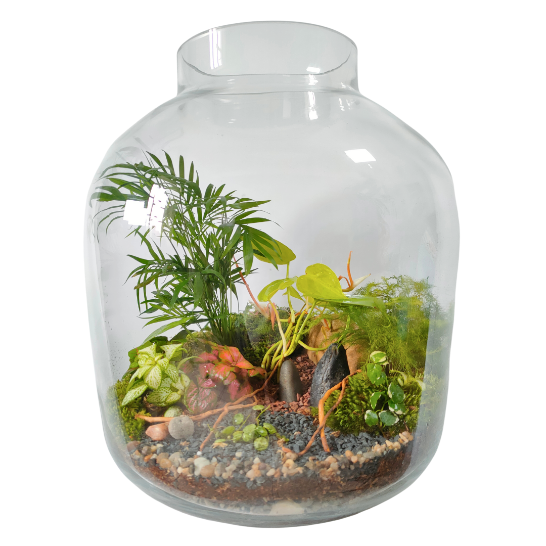 Terrarium « Jungle » – Miniature